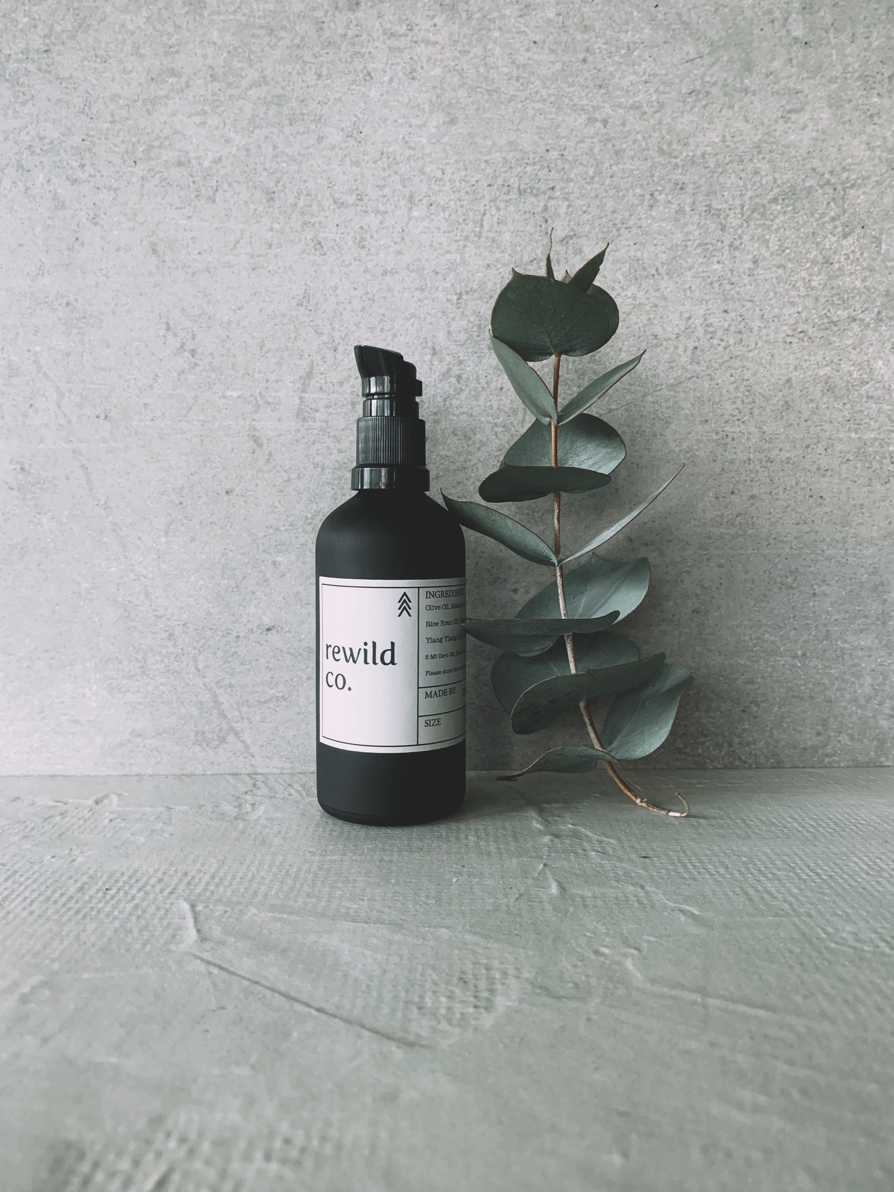 Processed with RNI Films. Preset 'Agfacolor 40's' - Rewild Co.